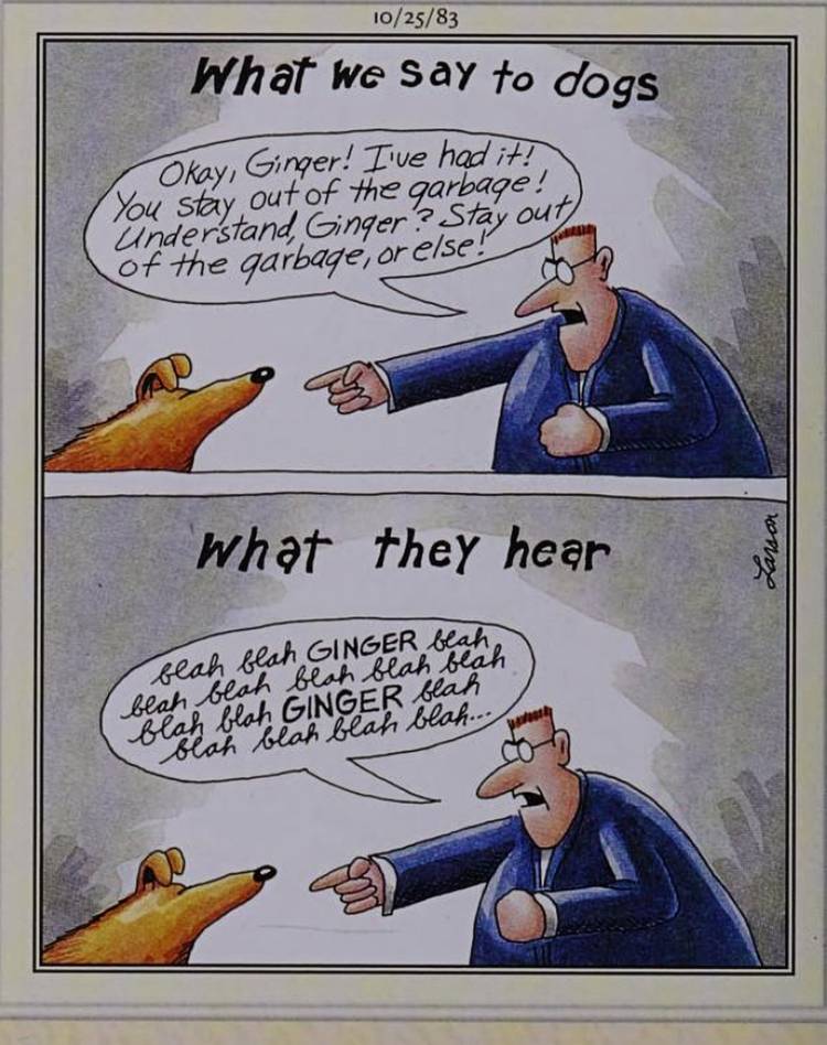 10 Funny Far Side Comics That Prove Dogs Are Man's Best Friends