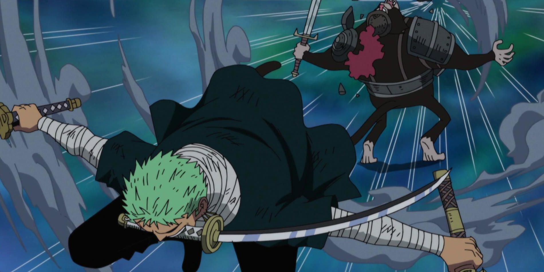Roronoa Zoro Time Skip
