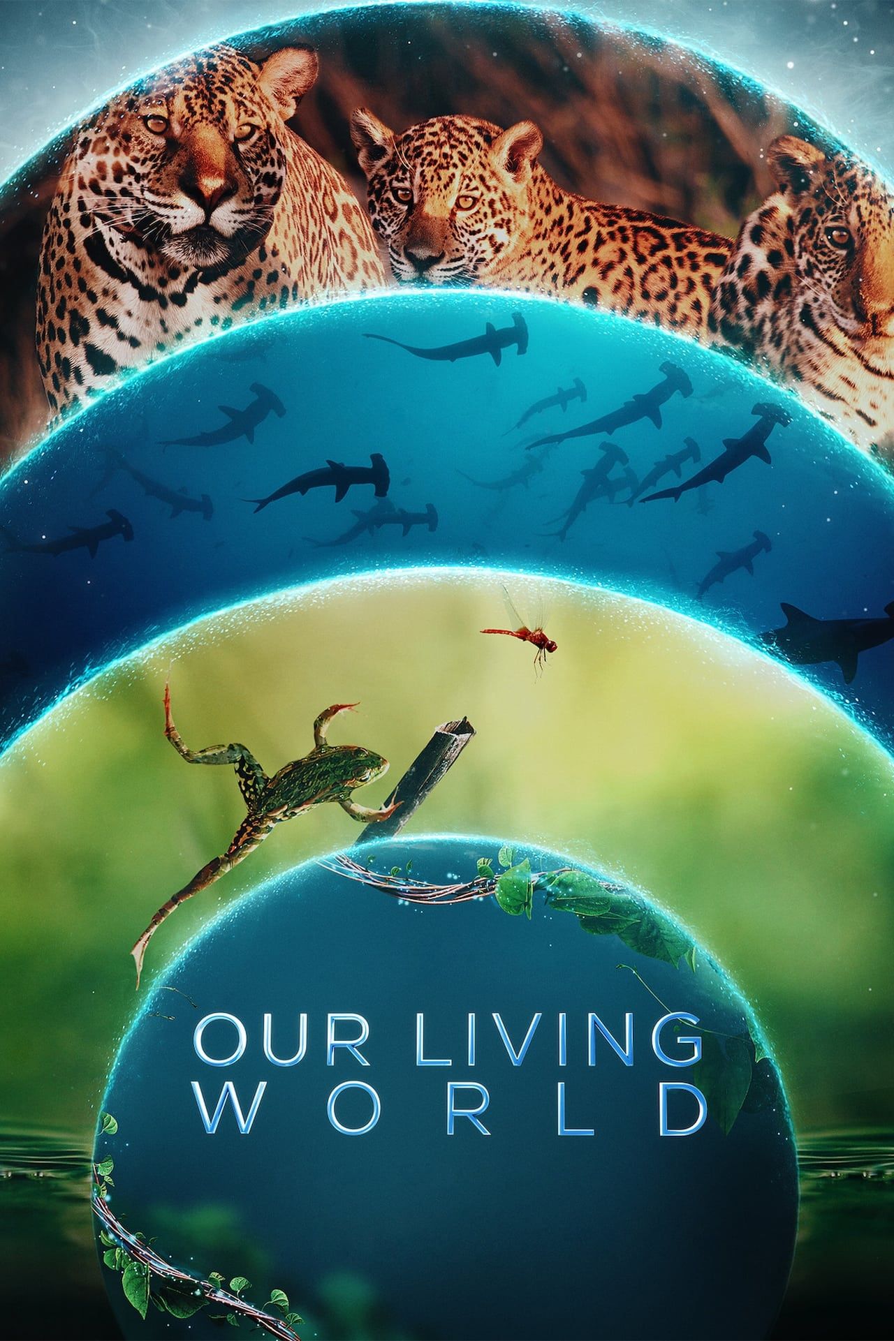Our Living World Summary, Latest News, Trailer, Season List, Cast ...
