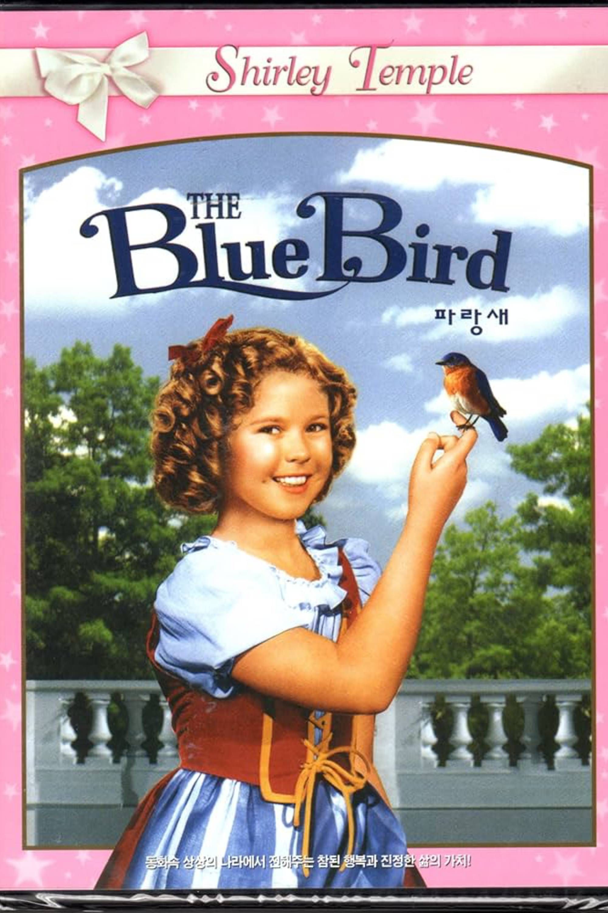 The Blue Bird Summary, Latest News, Trailer, Cast, Where to Watch and More
