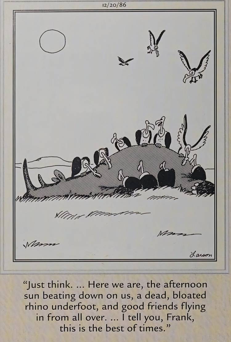 10 Brilliant Far Side Comics Starring Buzzards, Vultures, & Other Birds ...