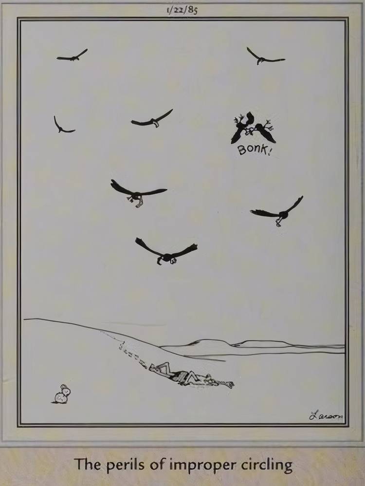 10 Brilliant Far Side Comics Starring Buzzards, Vultures, & Other Birds ...