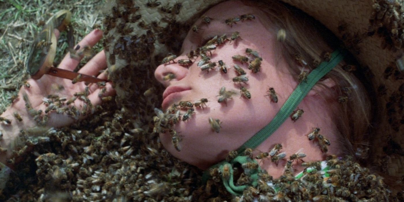 The Swarm Summary, Latest News, Trailer, Cast, Where to Watch and More