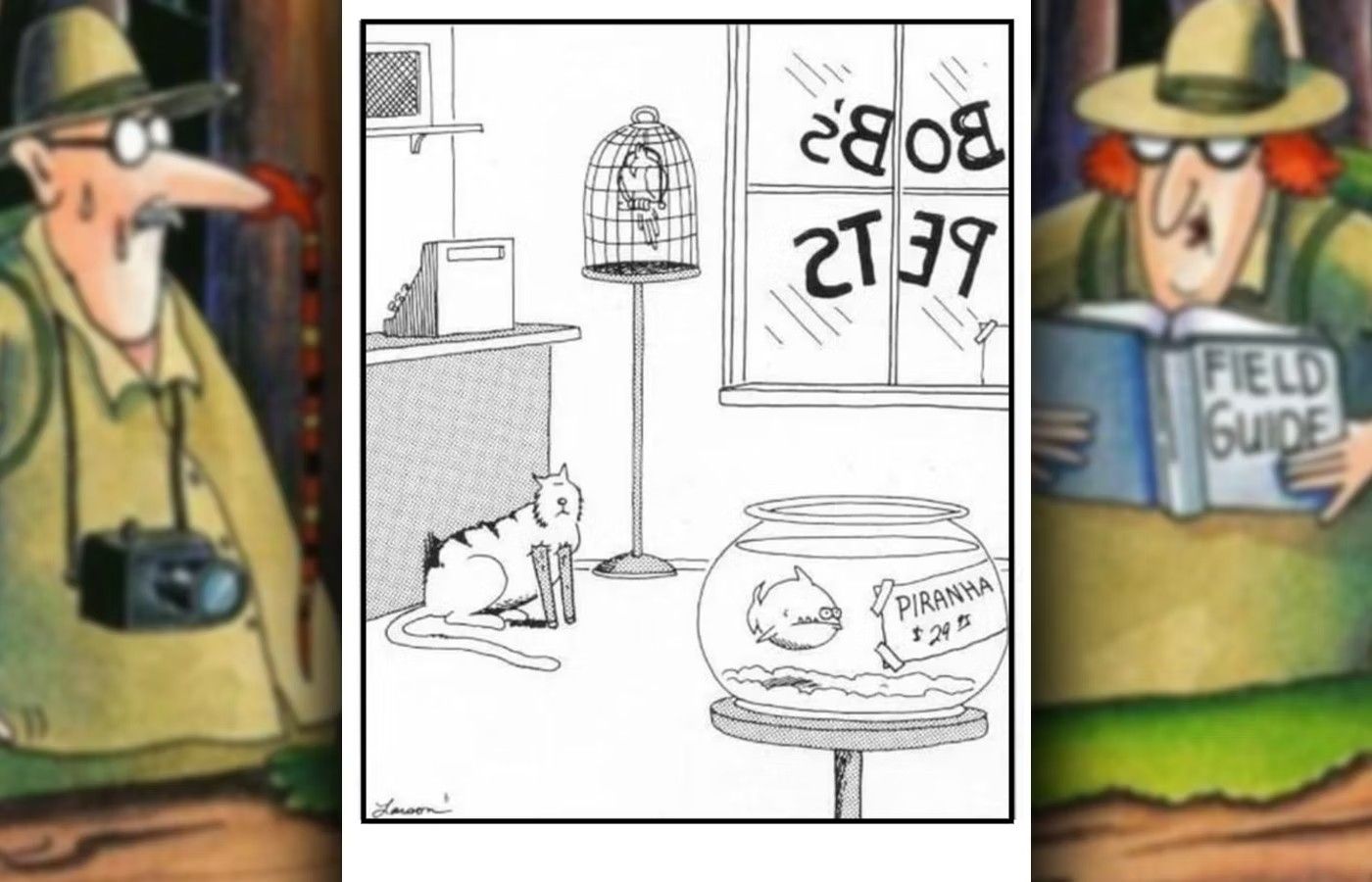 Best Far Side Cat The #bird Has The Best #hat By Far. Gary Larson