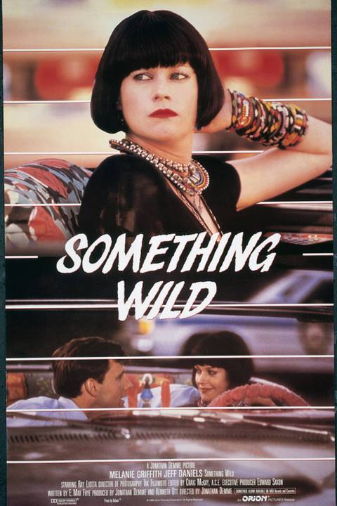 Something Wild Summary, Latest News, Trailer, Cast, Where to Watch and More