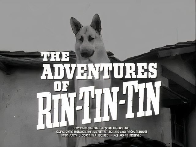 The Adventures of Rin Tin Tin (1954) Opening