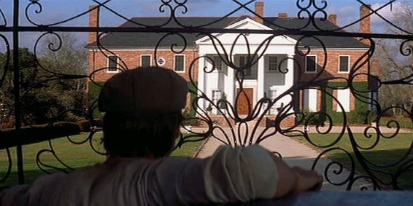 The Notebook Summary, Trailer, Cast, and More