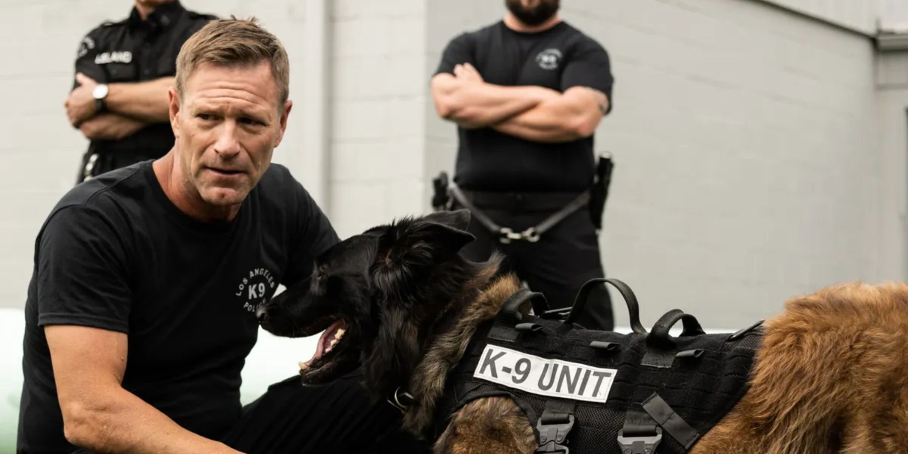 Muzzle Summary, Trailer, Cast, and More