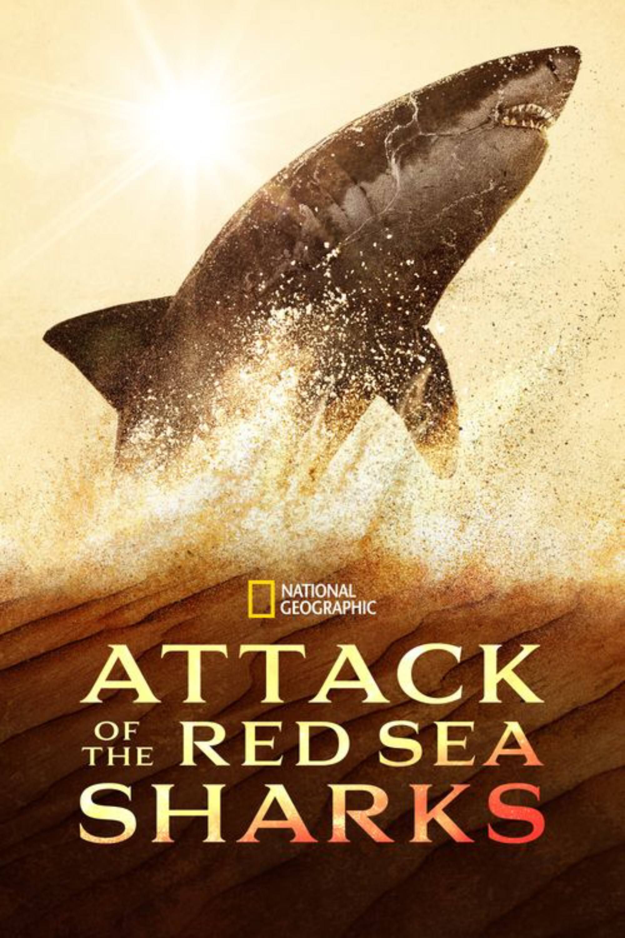 Attack of the Red Sea Sharks Summary, Latest News, Trailer, Cast, Where ...