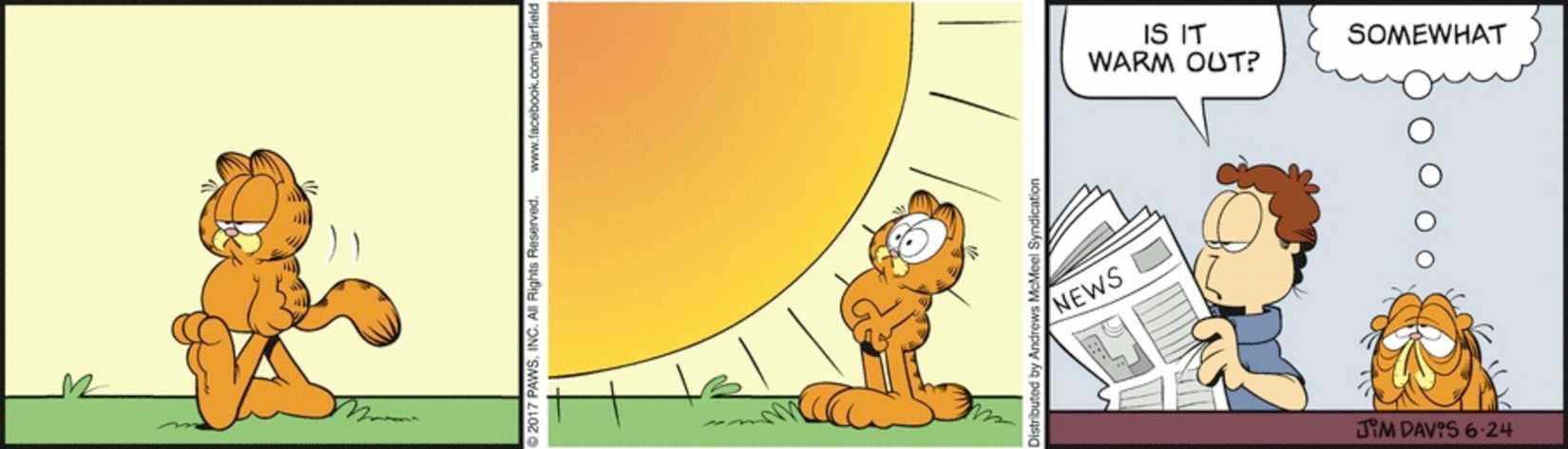 Garfield's 10 Best Comics About The Summer