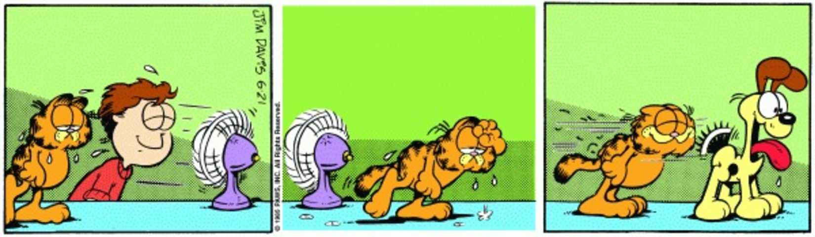 Garfield's 10 Best Comics About The Summer