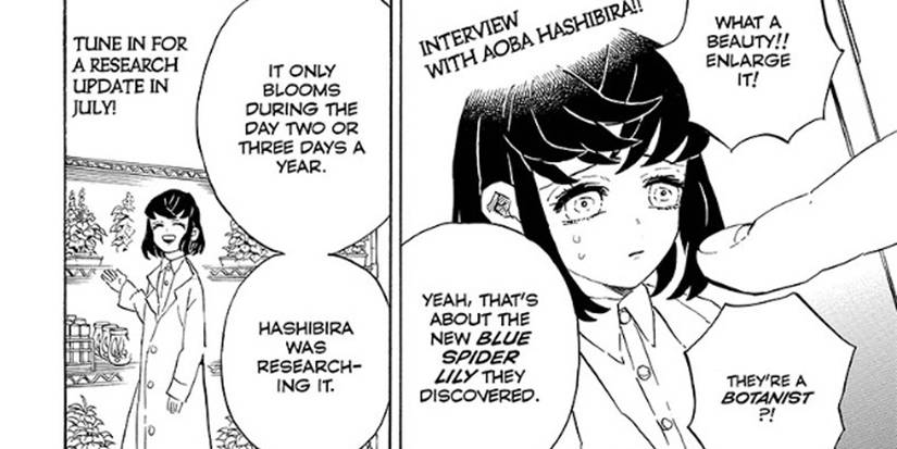 Demon Slayer’s Manga Ending Explained: What Happens To Tanjiro & Nezuko ...