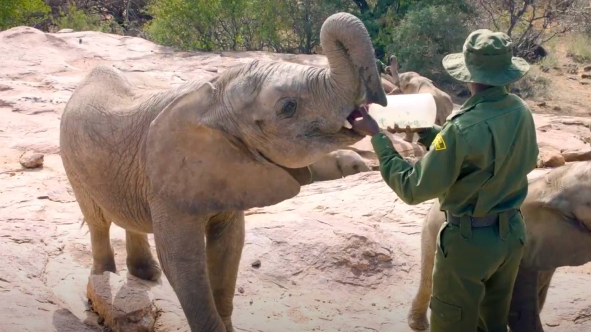 Escape from Extinction Summary, Latest News, Trailer, Cast, Where to ...