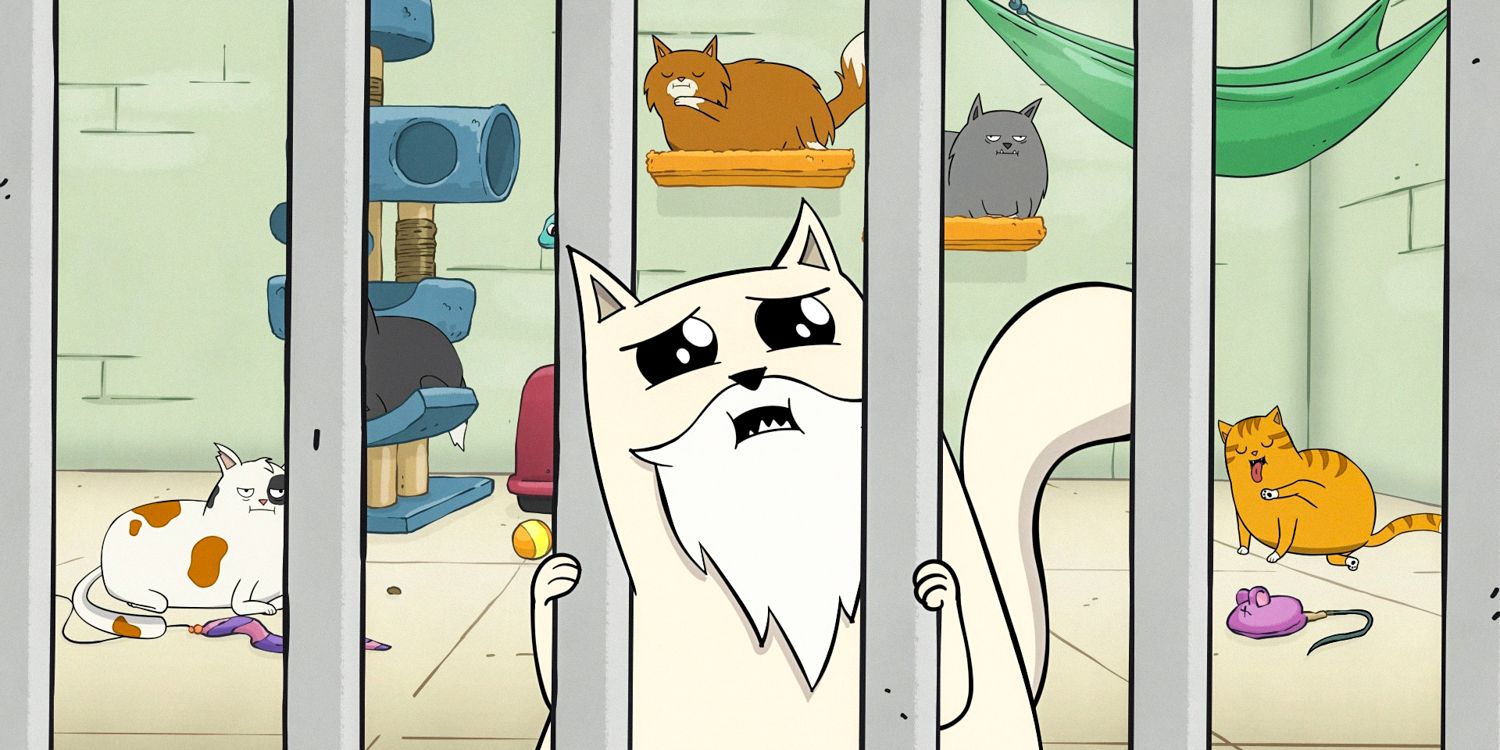 Exploding Kittens Summary, Trailer, Cast, and More