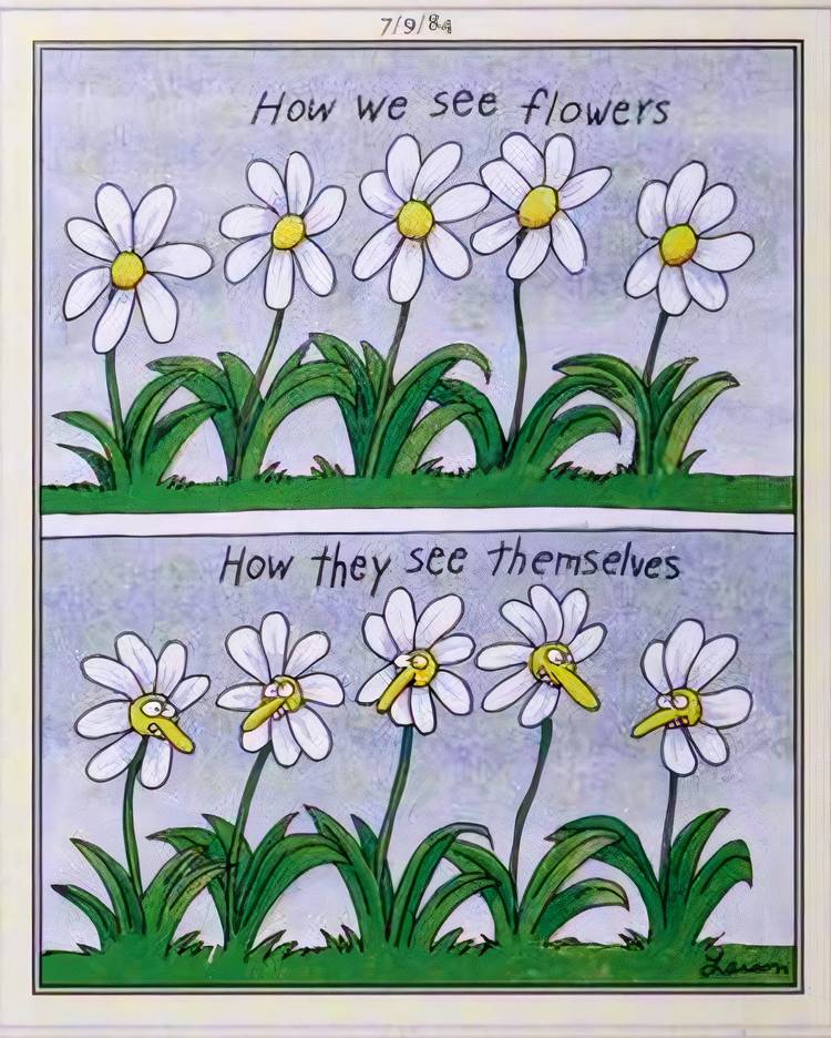 10 Hilarious Far Side Comics About Flowers & Other Plants