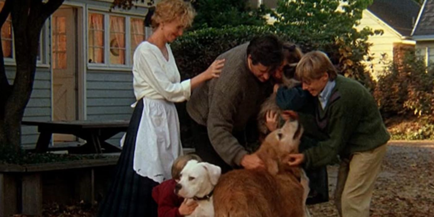 Homeward Bound Summary, Latest News, Trailer, Cast, Where to Watch and More