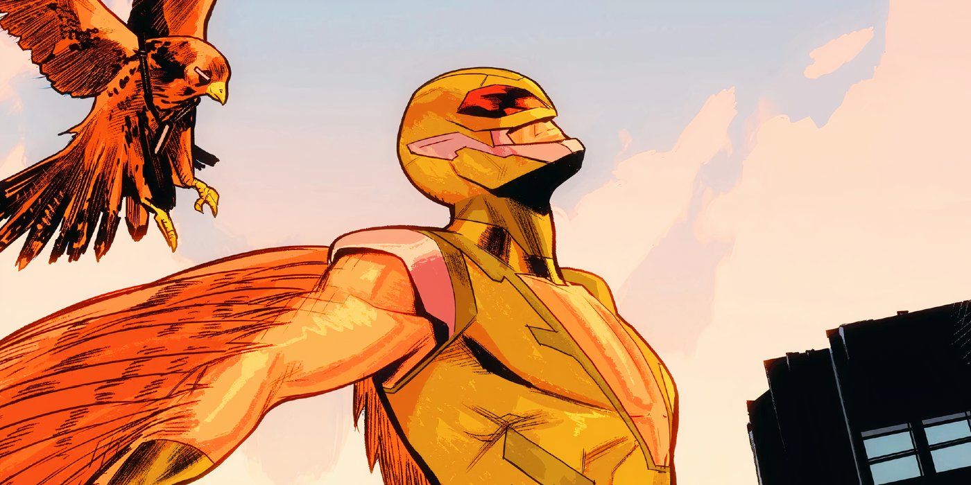 Cartoon Falcon