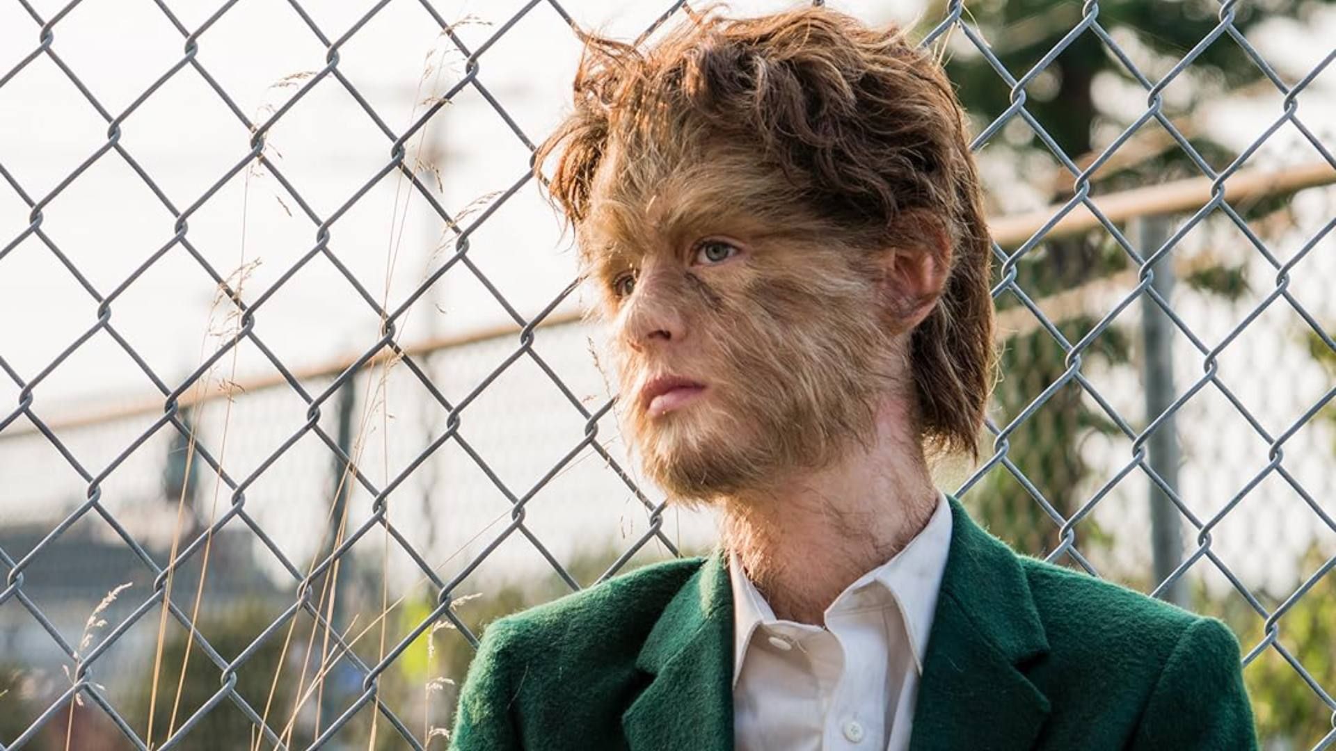 The True Adventures of Wolfboy Summary, Latest News, Trailer, Cast ...