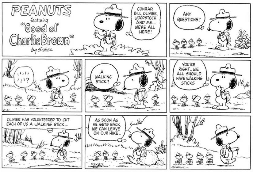 10 Funniest Peanuts Comics Starring Snoopy's Beagle Scouts