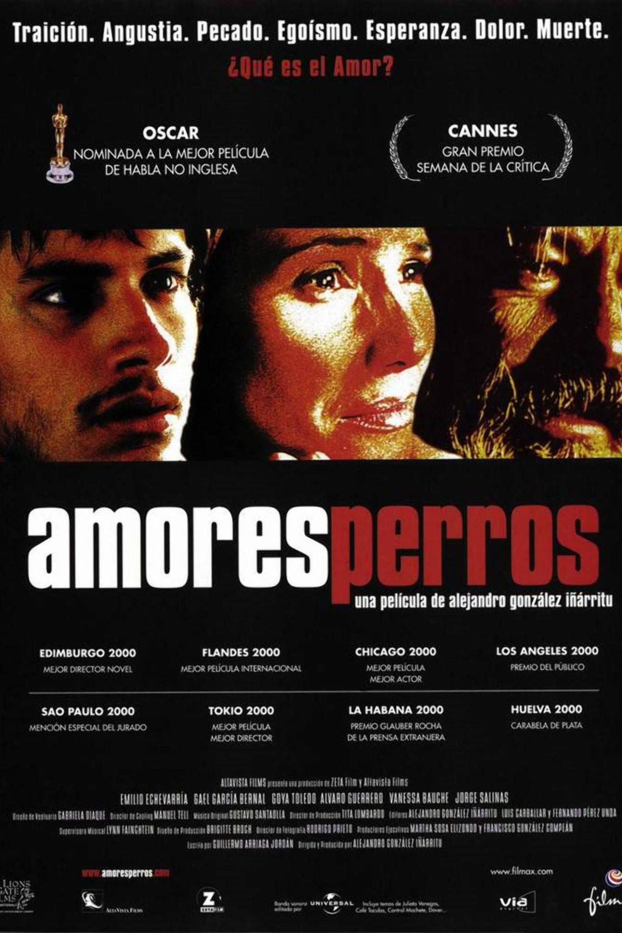 Amores Perros (2000) | ScreenRant