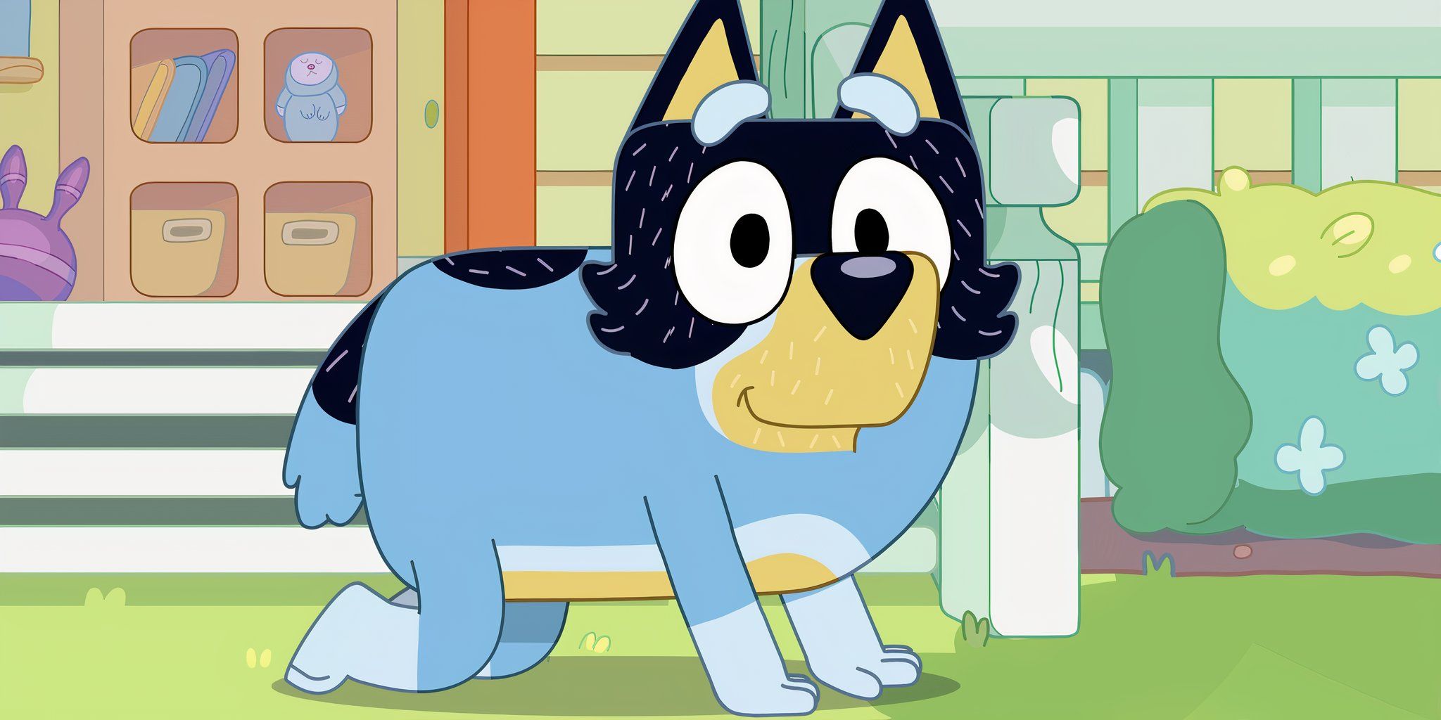 Bluey Summary, Trailer, Cast, and More