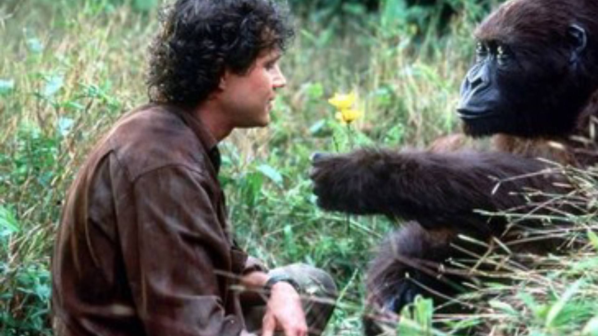 Congo Summary, Latest News, Trailer, Cast, Where to Watch and More