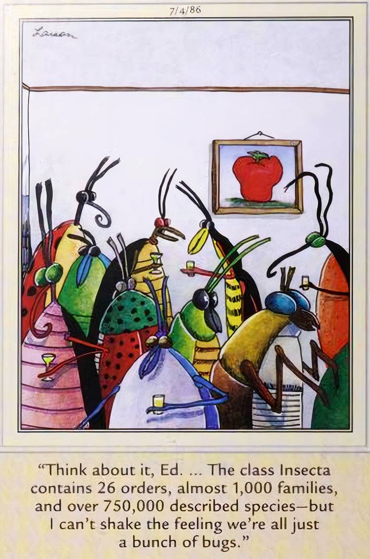 12 Hilarious Far Side Comics Set At Parties