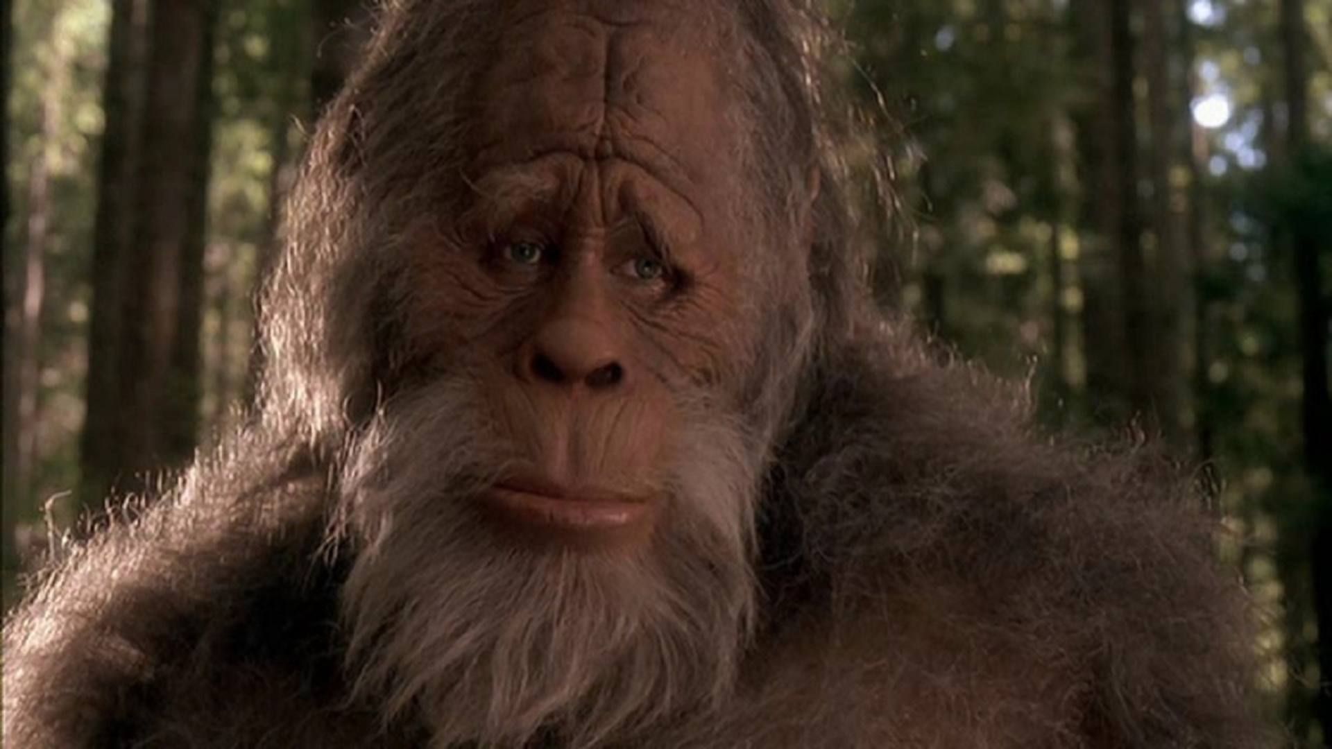Harry And The Hendersons Summary, Latest News, Trailer, Cast, Where to ...