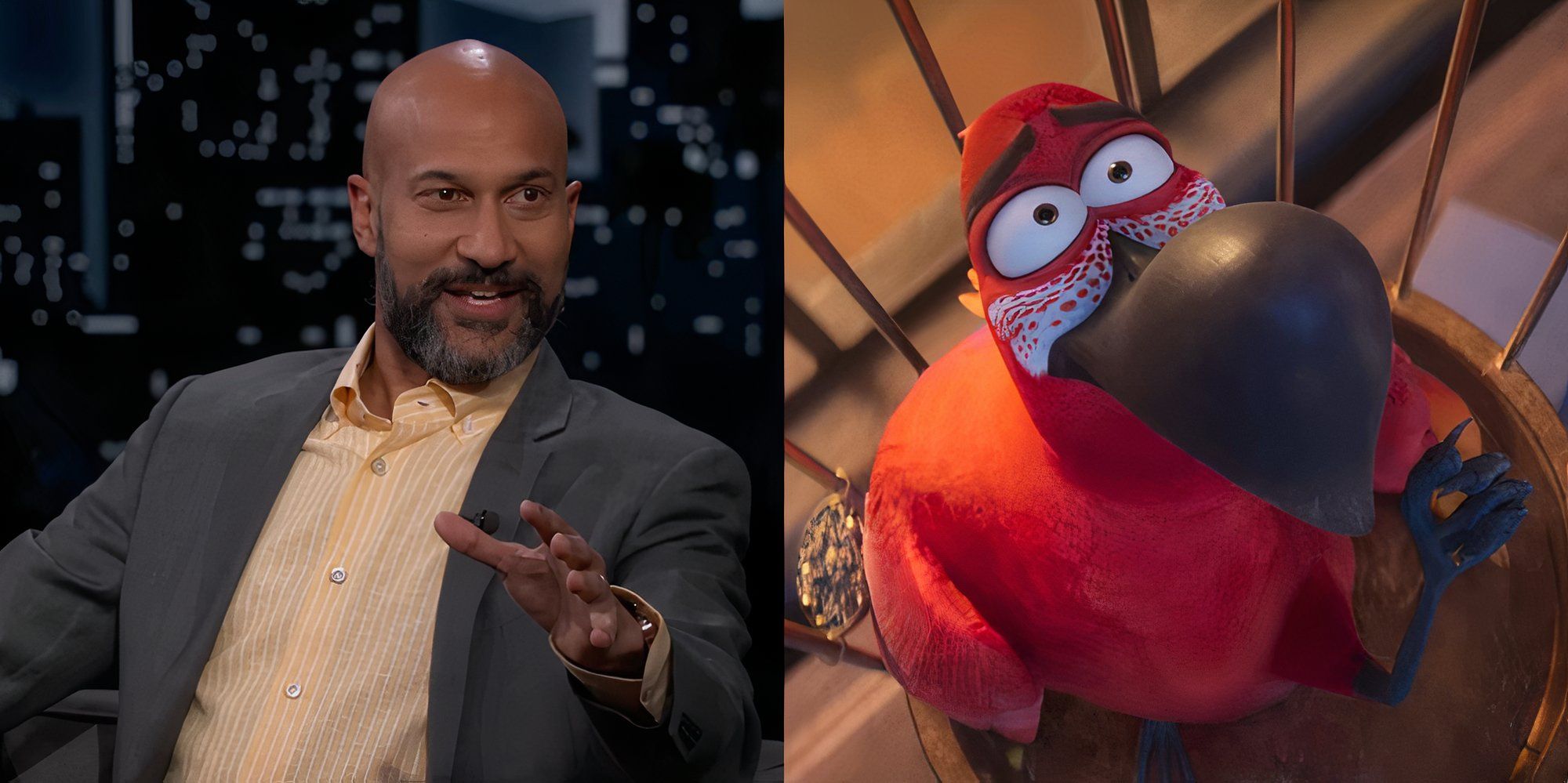 Migration Summary, Trailer, Cast, and More