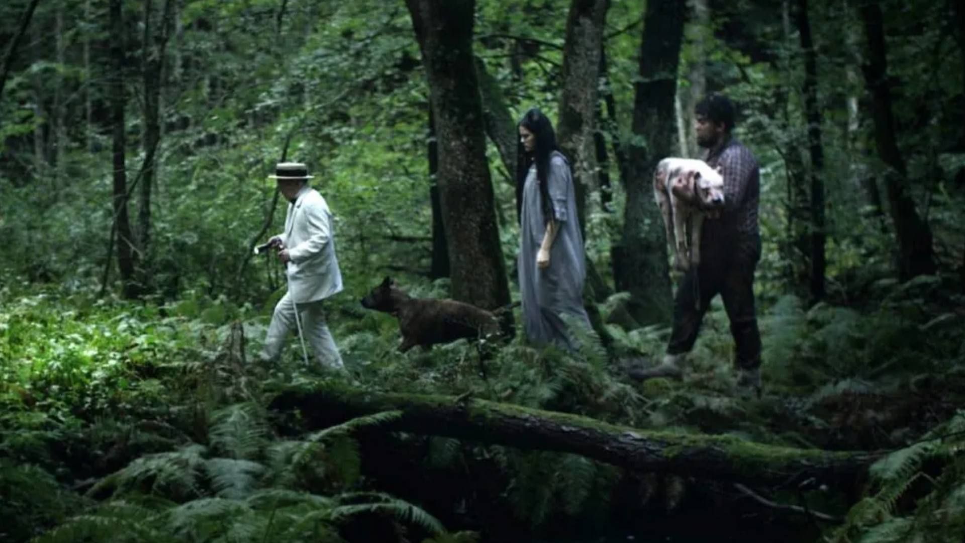 Koko-di Koko-da Summary, Latest News, Trailer, Cast, Where to Watch and ...