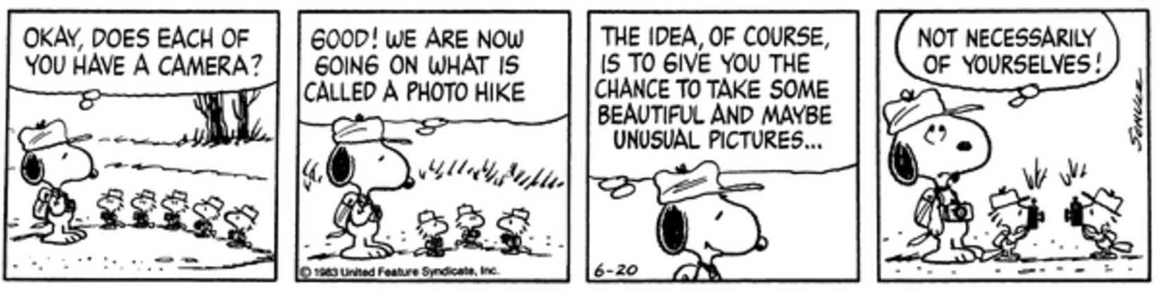 10 Funniest Peanuts Comics Starring Snoopy's Beagle Scouts