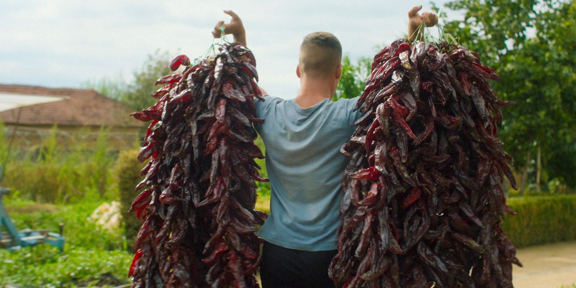 Omnivore Summary, Trailer, Cast, and More