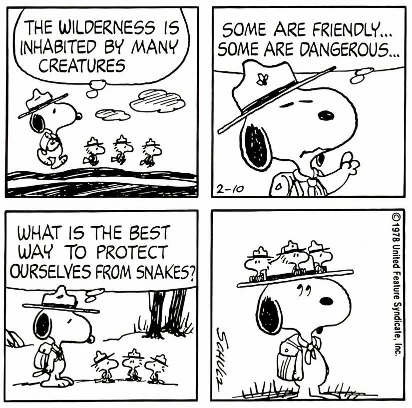 10 Funniest Peanuts Comics Starring Snoopy's Beagle Scouts