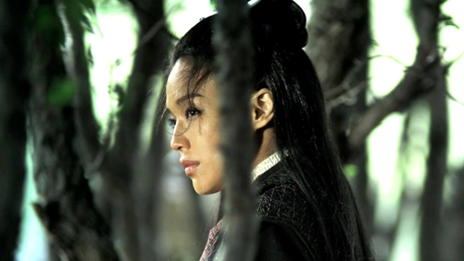 The Assassin Summary, Latest News, Trailer, Cast, Where to Watch and More