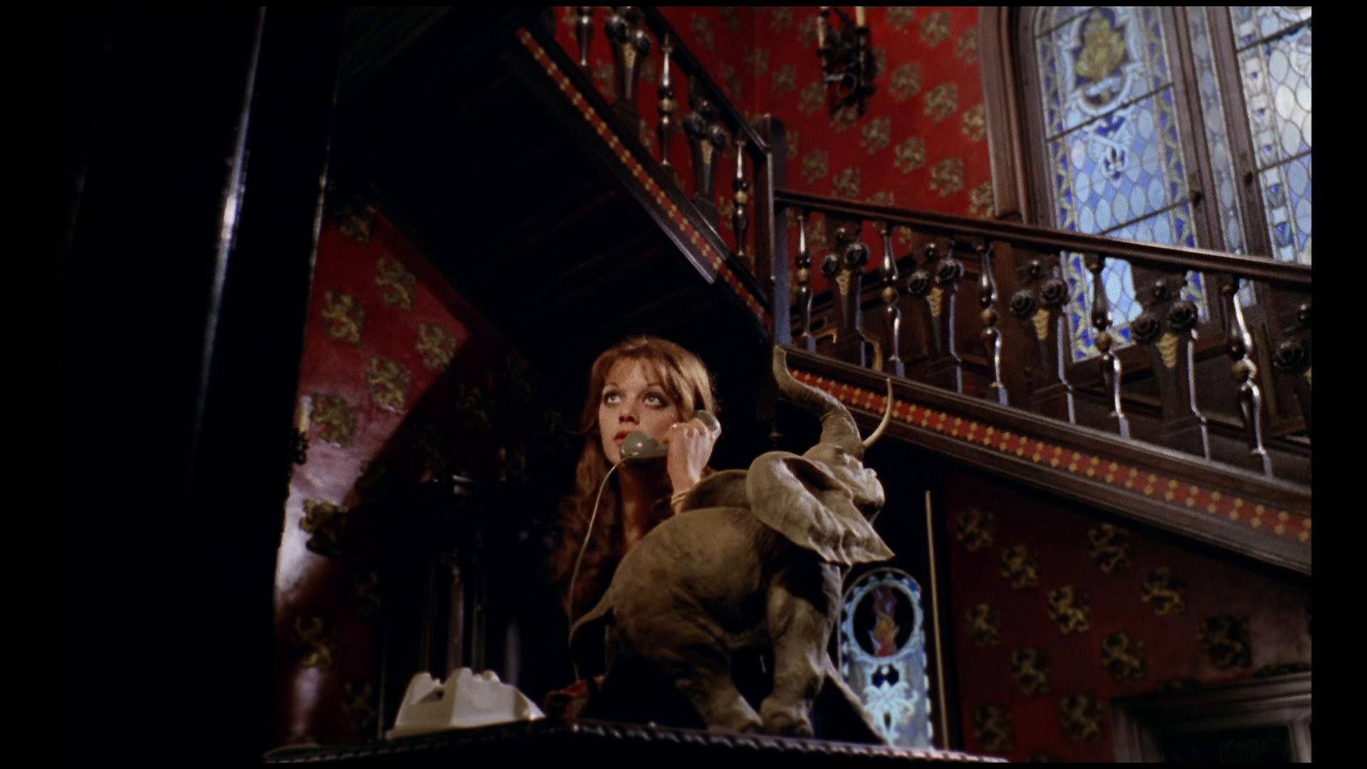 Torso Summary, Latest News, Trailer, Cast, Where to Watch and More