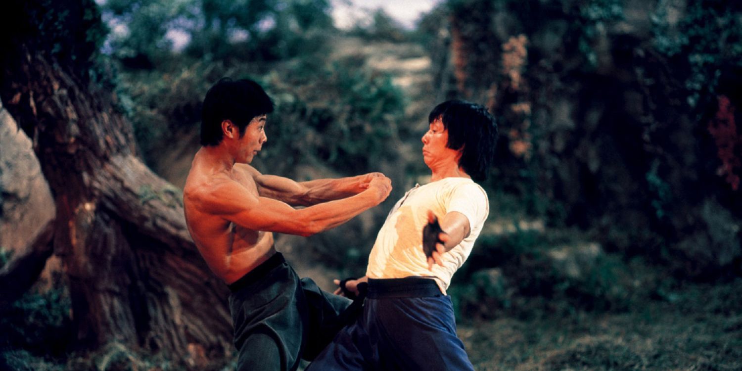 Mad Monkey Kung Fu Summary, Trailer, Cast, and More