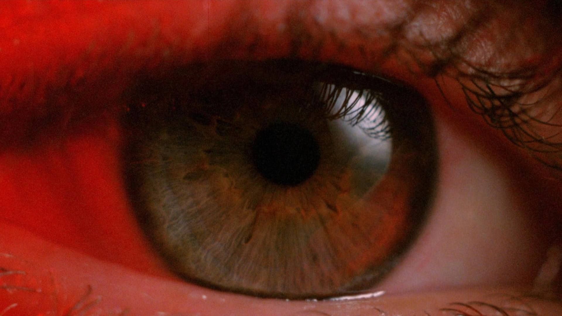 White of the Eye Summary, Latest News, Trailer, Cast, Where to Watch ...