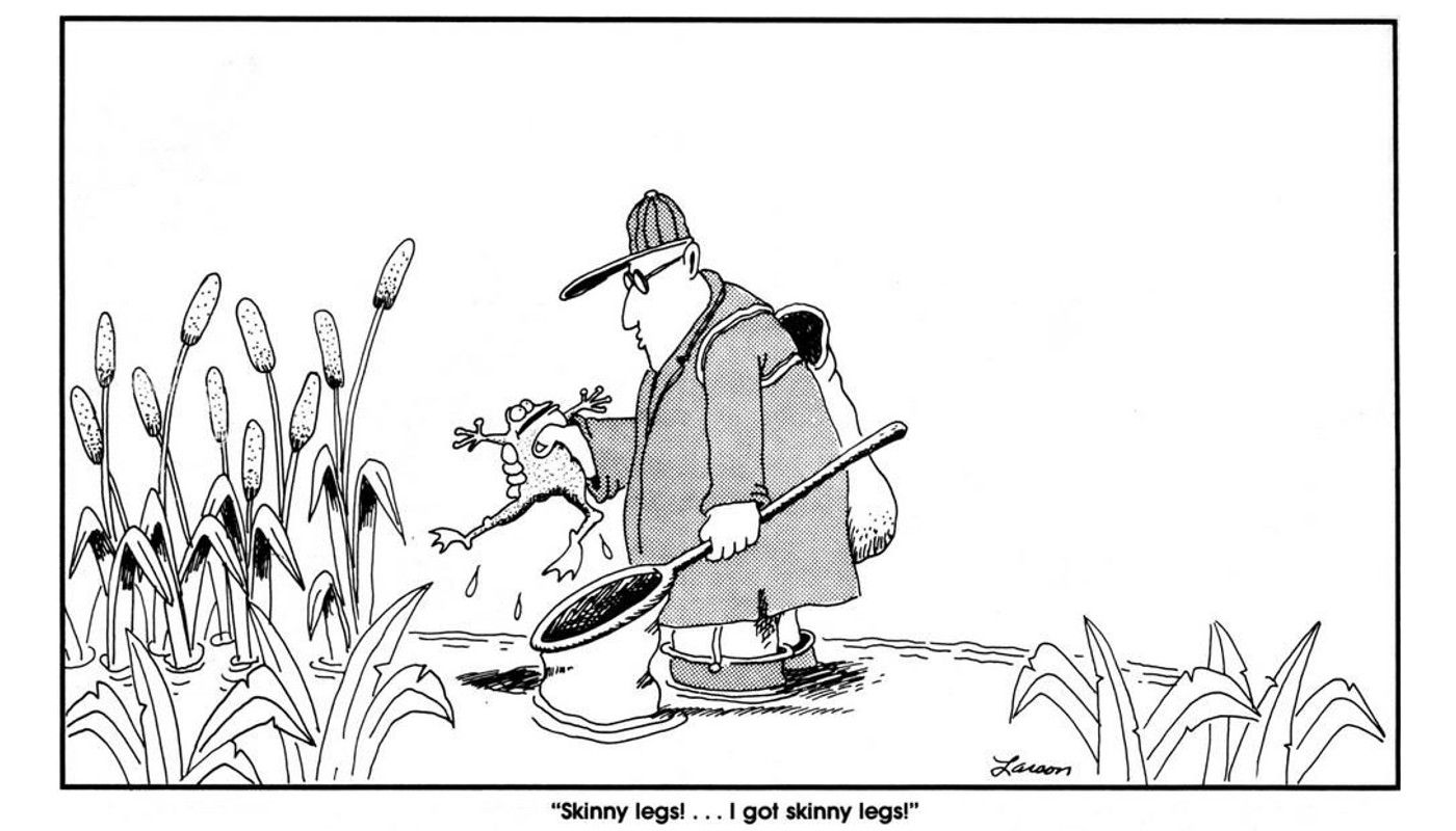 Far Side Comic Strip Frog The 35 Best Far Side Comic Strips Of All