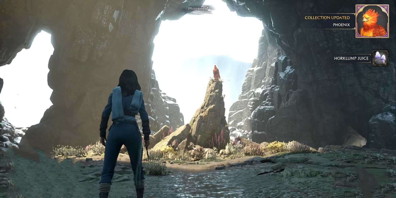 2 Years After Hogwarts Legacy’s Release, The Lack Of DLC Might Have A ...