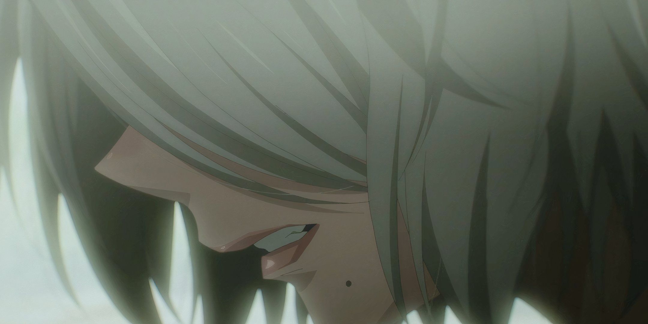 NieR:Automata Ver1.1a (2023) Summary, Trailer, Cast, and More