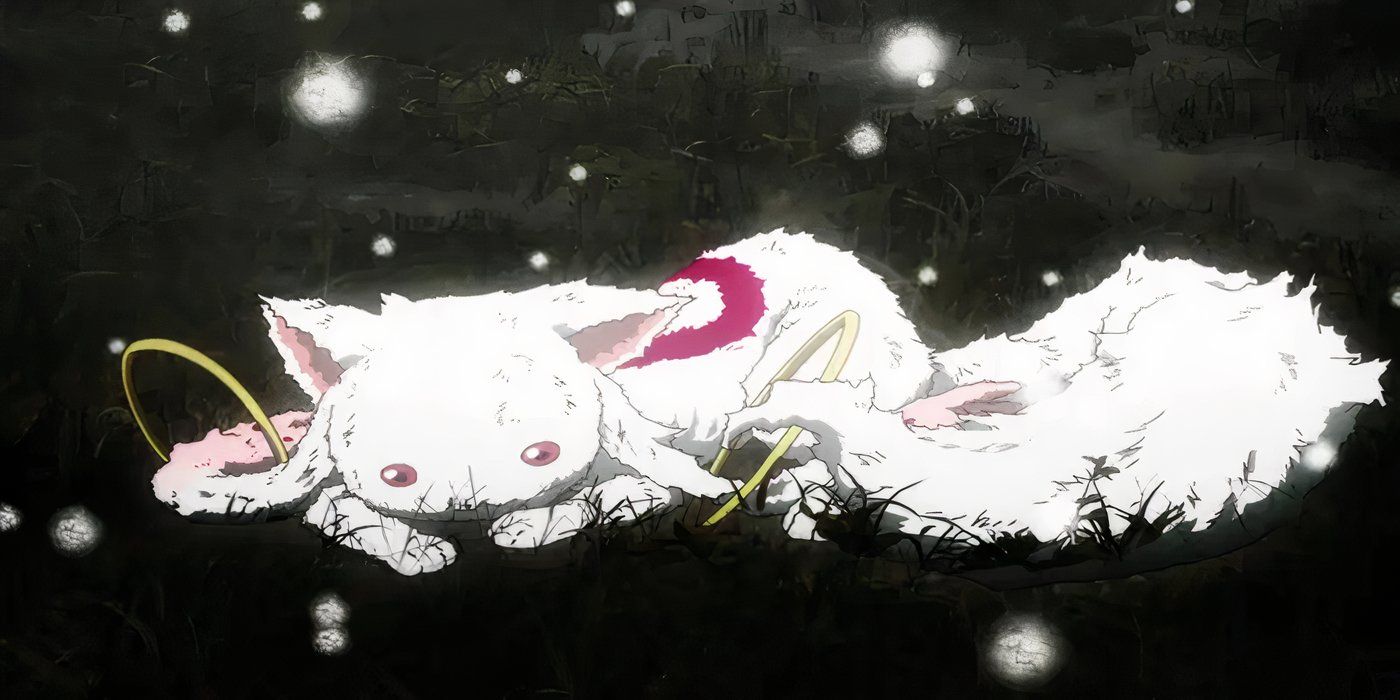 Puella Magi Madoka Magica Summary, Trailer, Cast, and More