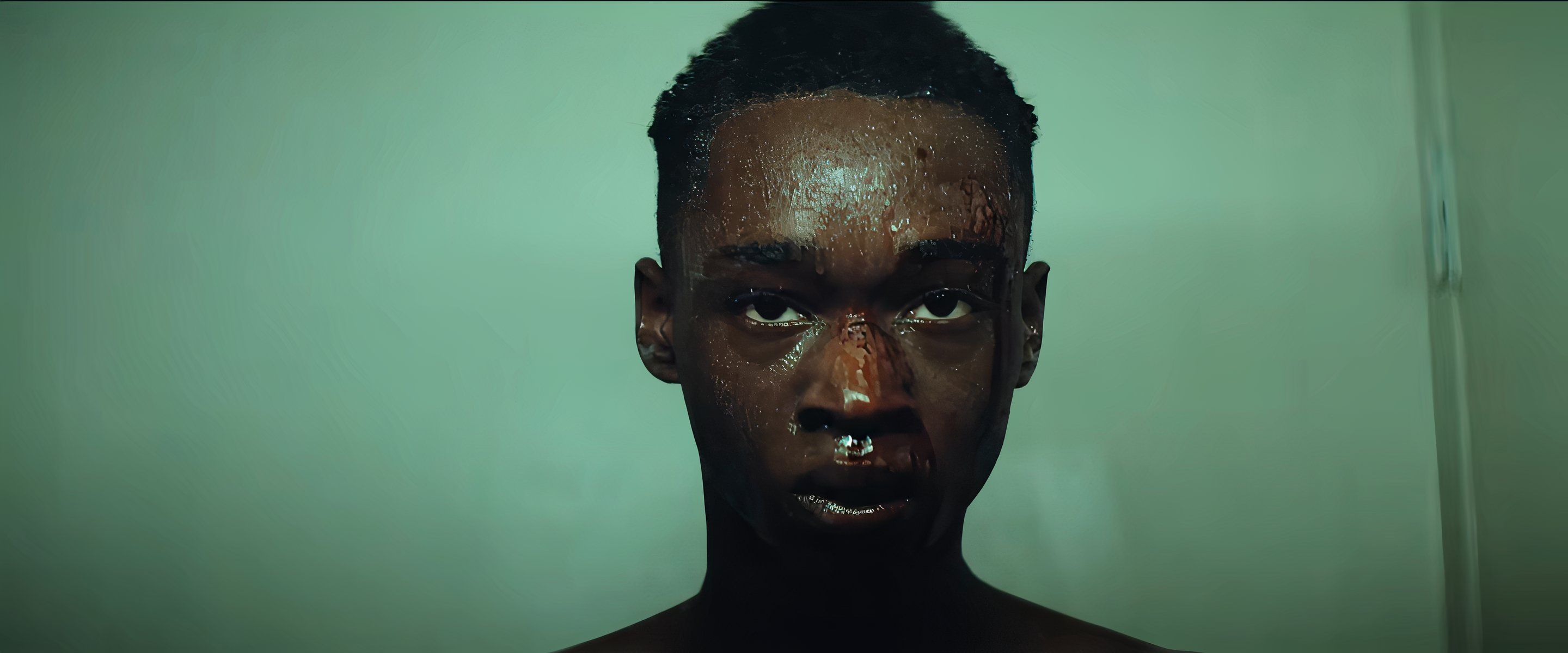 Moonlight Summary, Trailer, Cast, and More