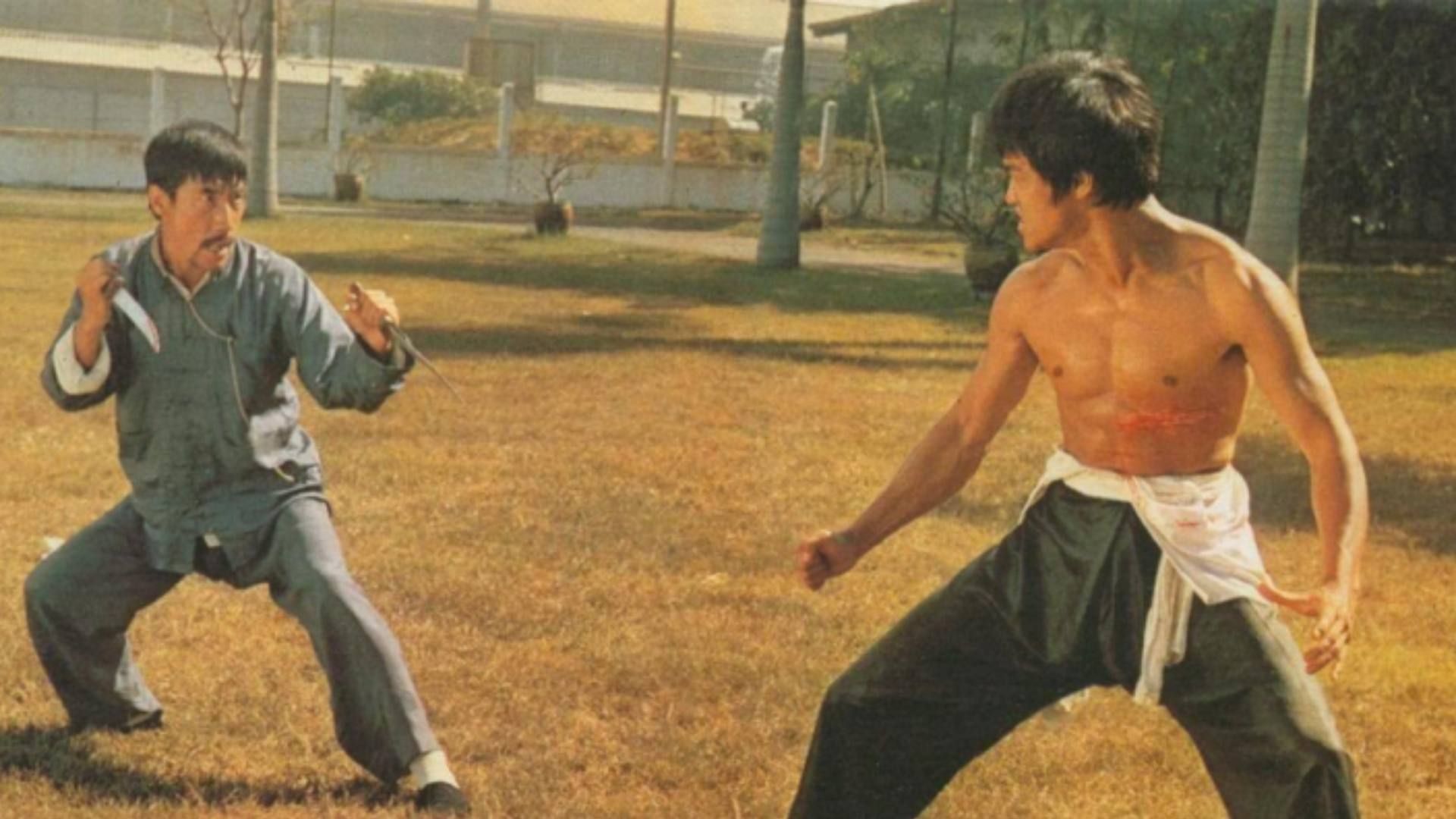 The Big Boss Summary, Latest News, Trailer, Cast, Where to Watch and More