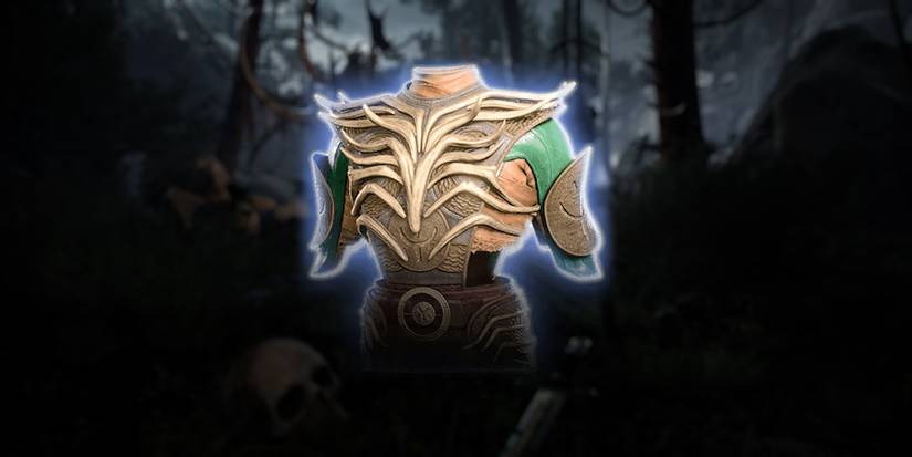 15 Essential Items For Barbarians In Baldur's Gate 3 (& Where To Find Them)