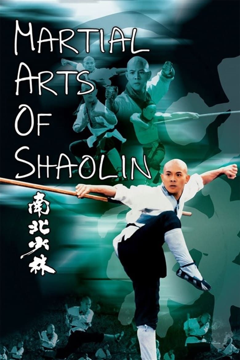 15 Best Martial Arts Movies About Shaolin Monks, Ranked
