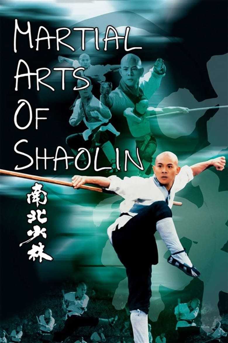 15 Best Martial Arts Movies About Shaolin Monks, Ranked