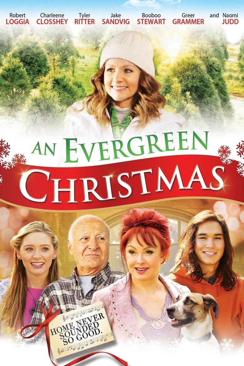 An Evergreen Christmas Summary, Latest News, Trailer, Cast, Where to ...