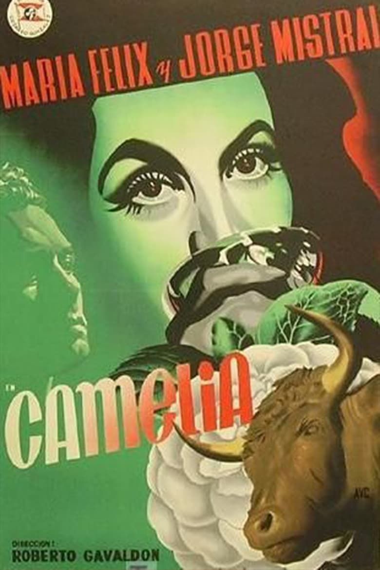Camelia Summary, Latest News, Trailer, Cast, Where to Watch and More