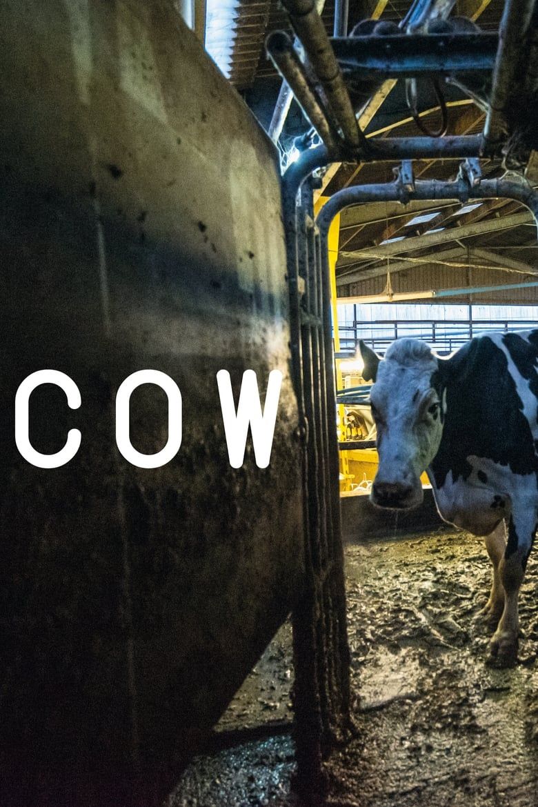 Cow Summary, Latest News, Trailer, Cast, Where to Watch and More