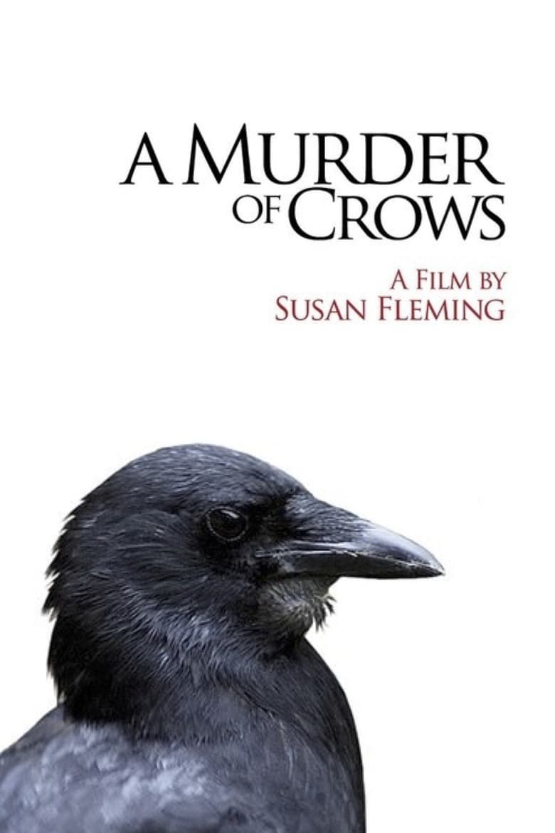 A Murder of Crows Summary, Latest News, Trailer, Cast, Where to Watch ...
